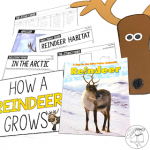 December Read Alouds for Kindergarten - The Daily Alphabet